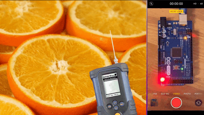 Real-time Food Quality Prediction